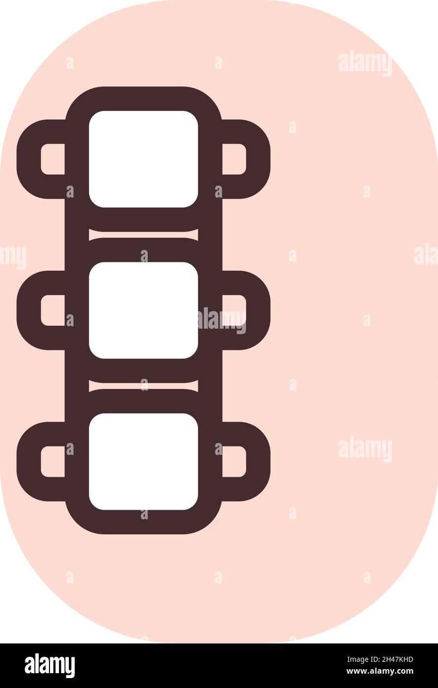 Human spine bones, illustration, vector, on a white background Stock ...