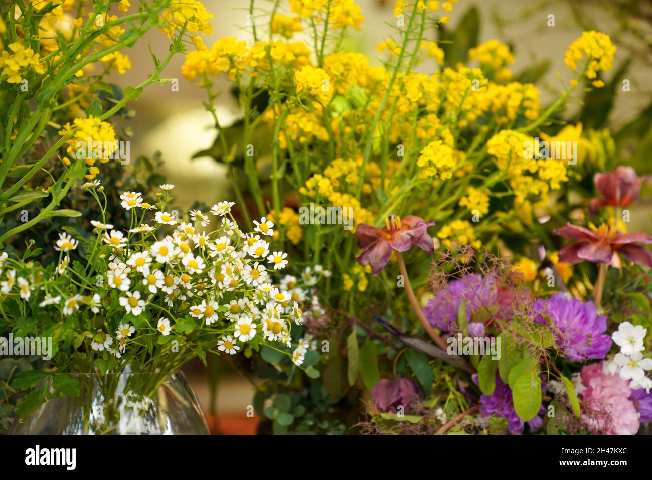 Creative layout of flowers and leaves. The concept of nature. A card ...
