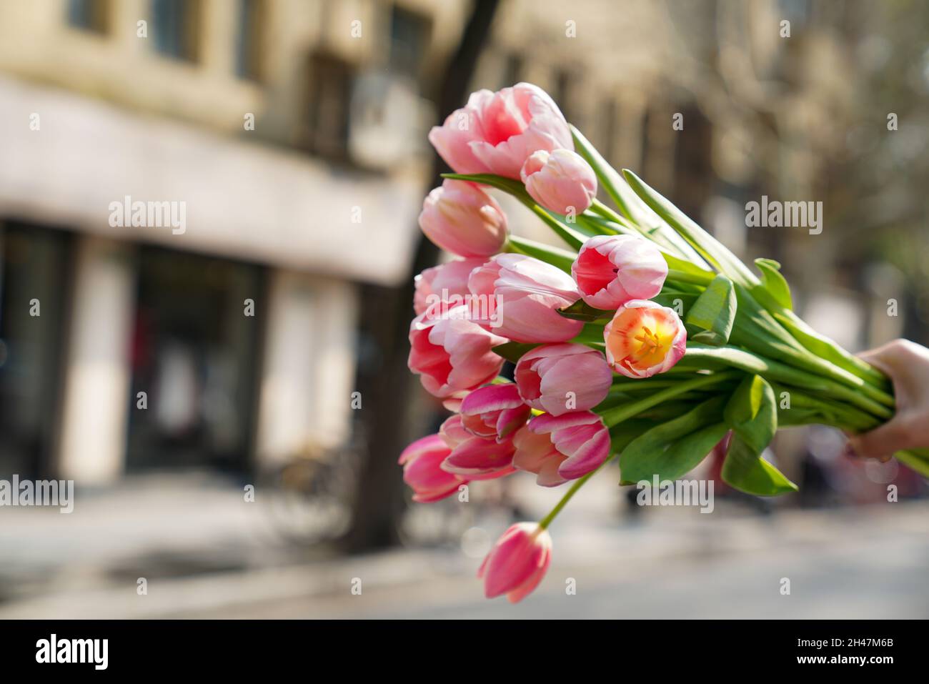 Creative layout of flowers and leaves. The concept of nature. A card ...