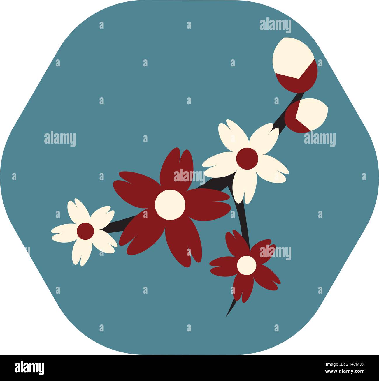 Japanese sakura, illustration, vector, on a white background Stock ...