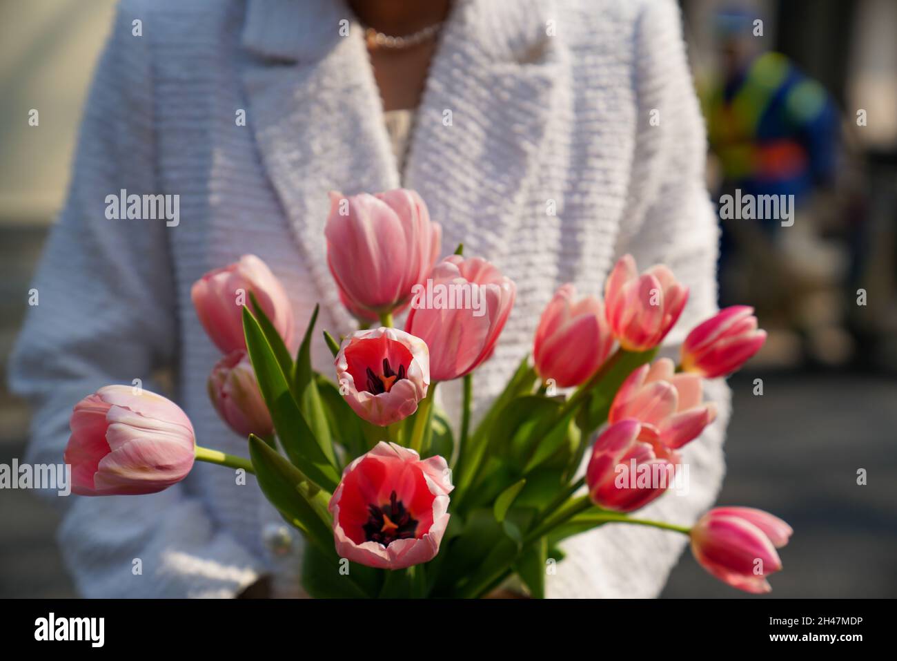 Creative layout of flowers and leaves. The concept of nature. A card ...