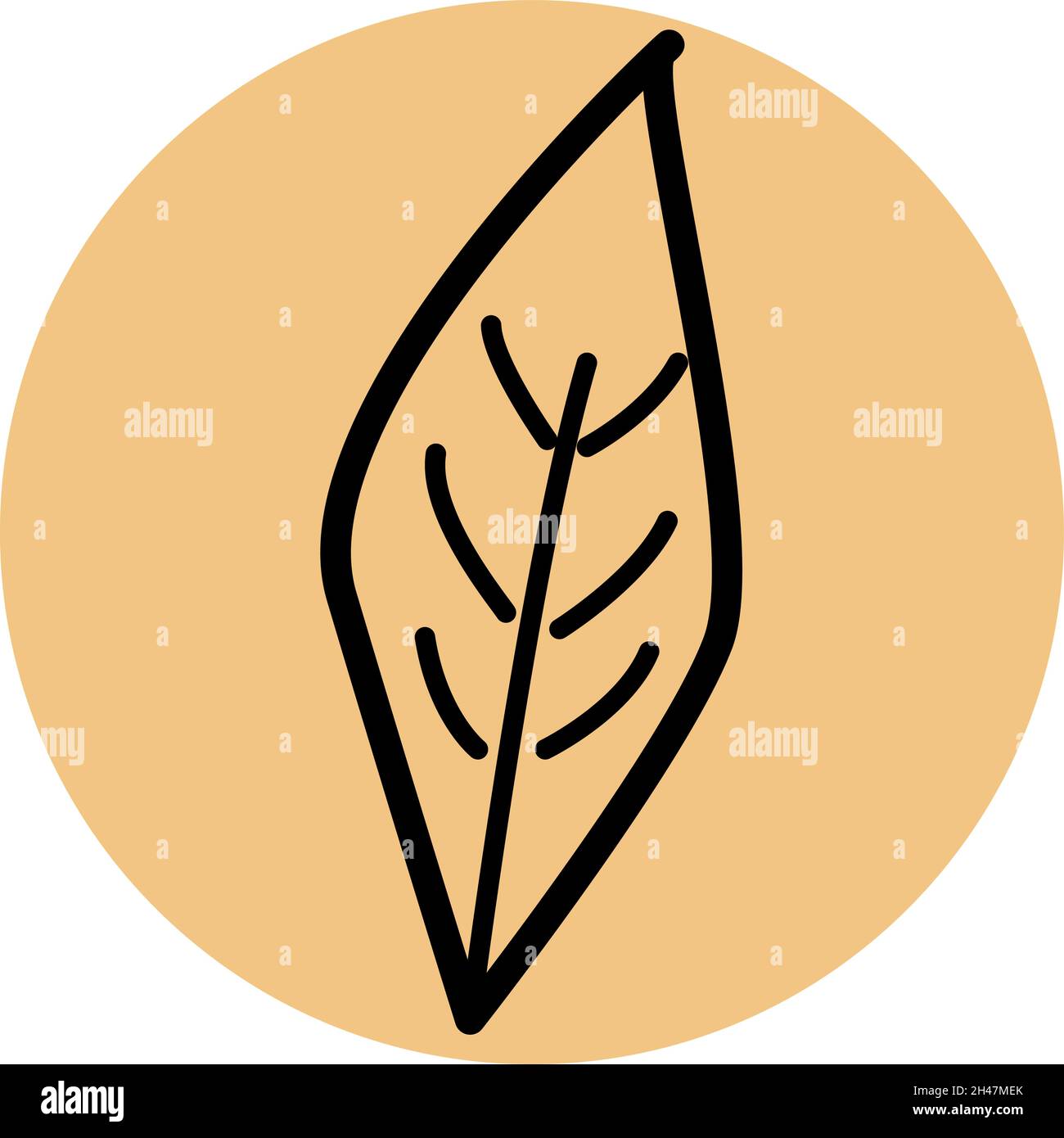 October orange leaf, illustration, vector, on a white background Stock ...