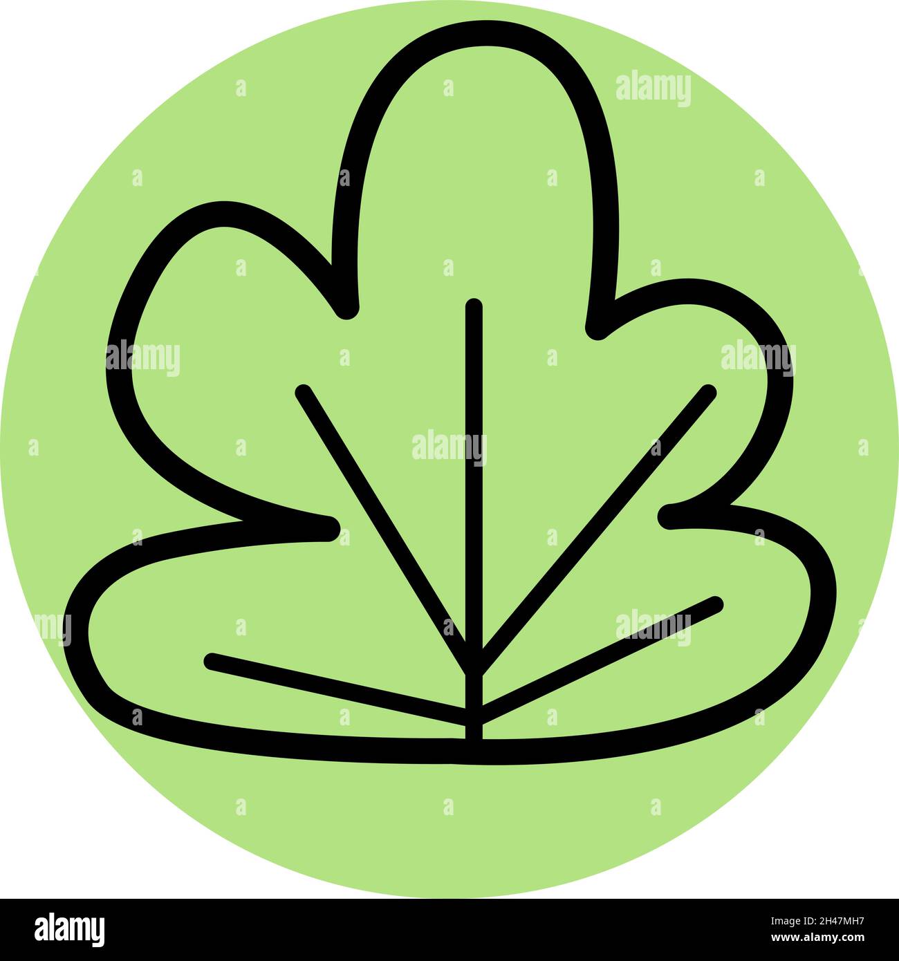One green leaf, illustration, vector, on a white background Stock ...