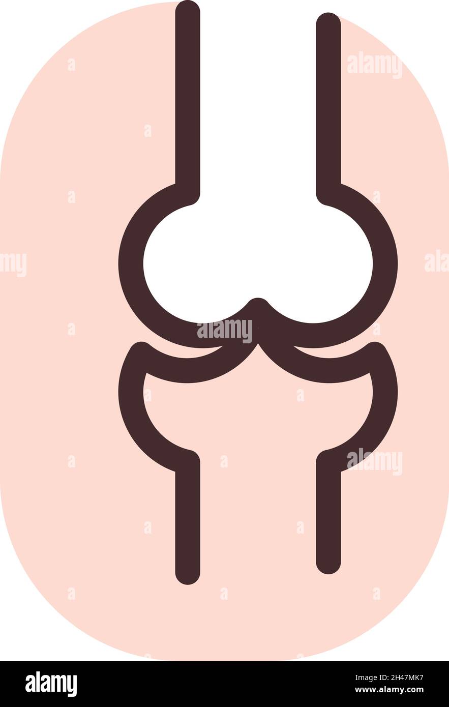 Knee bones, illustration, vector, on a white background Stock Vector ...