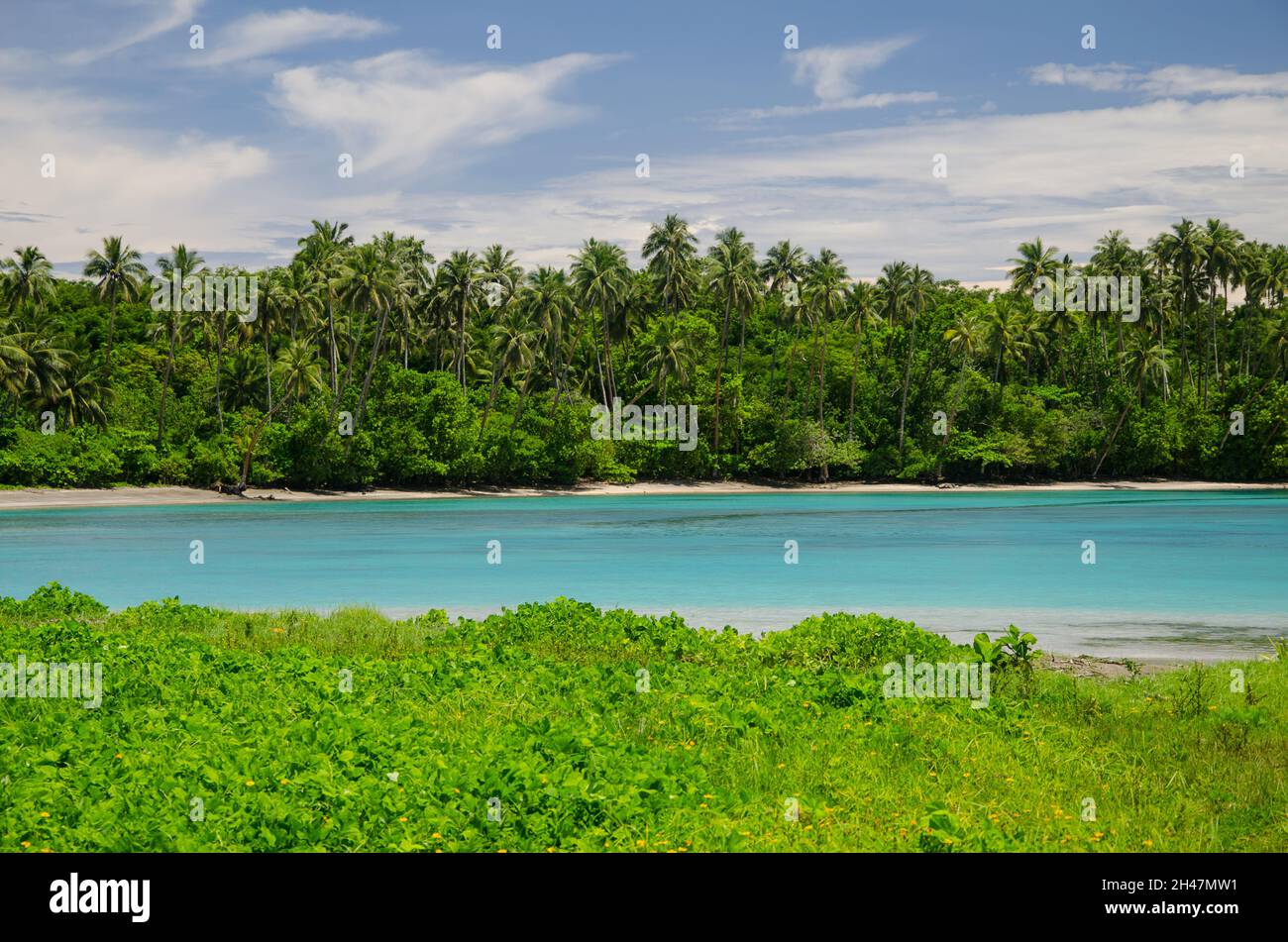Calm Pacific Ocean from the idyllic Savaii Island in Samoa, Oceania ...