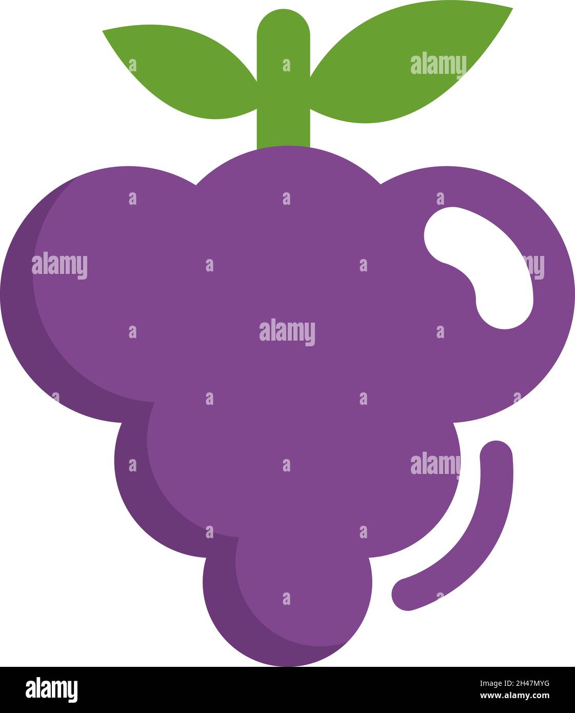 Purple grapes, illustration, vector, on a white background Stock Vector ...