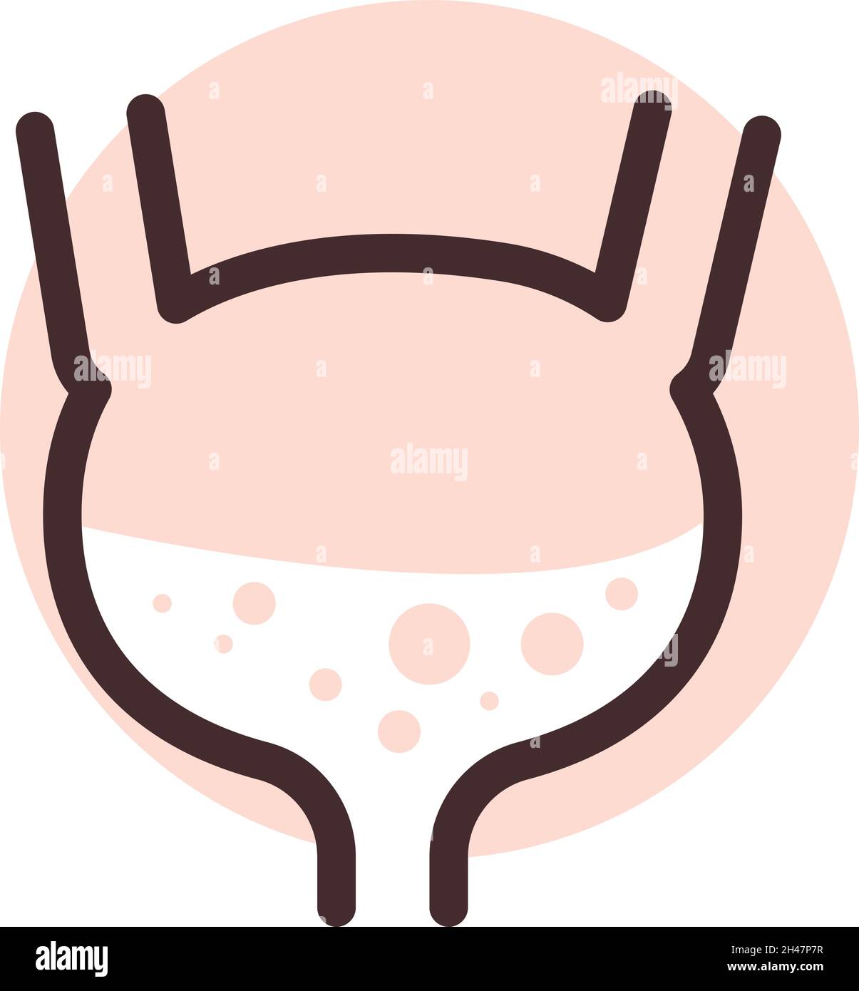 Human bladder hi-res stock photography and images - Alamy