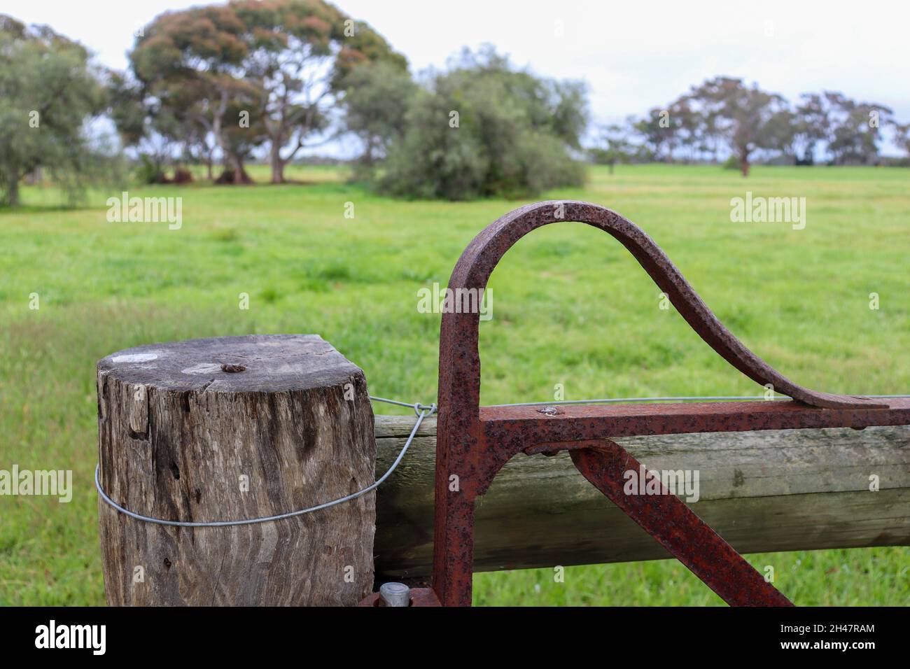 Close-up shot of an old wrought iron farm gate in the field with the ...