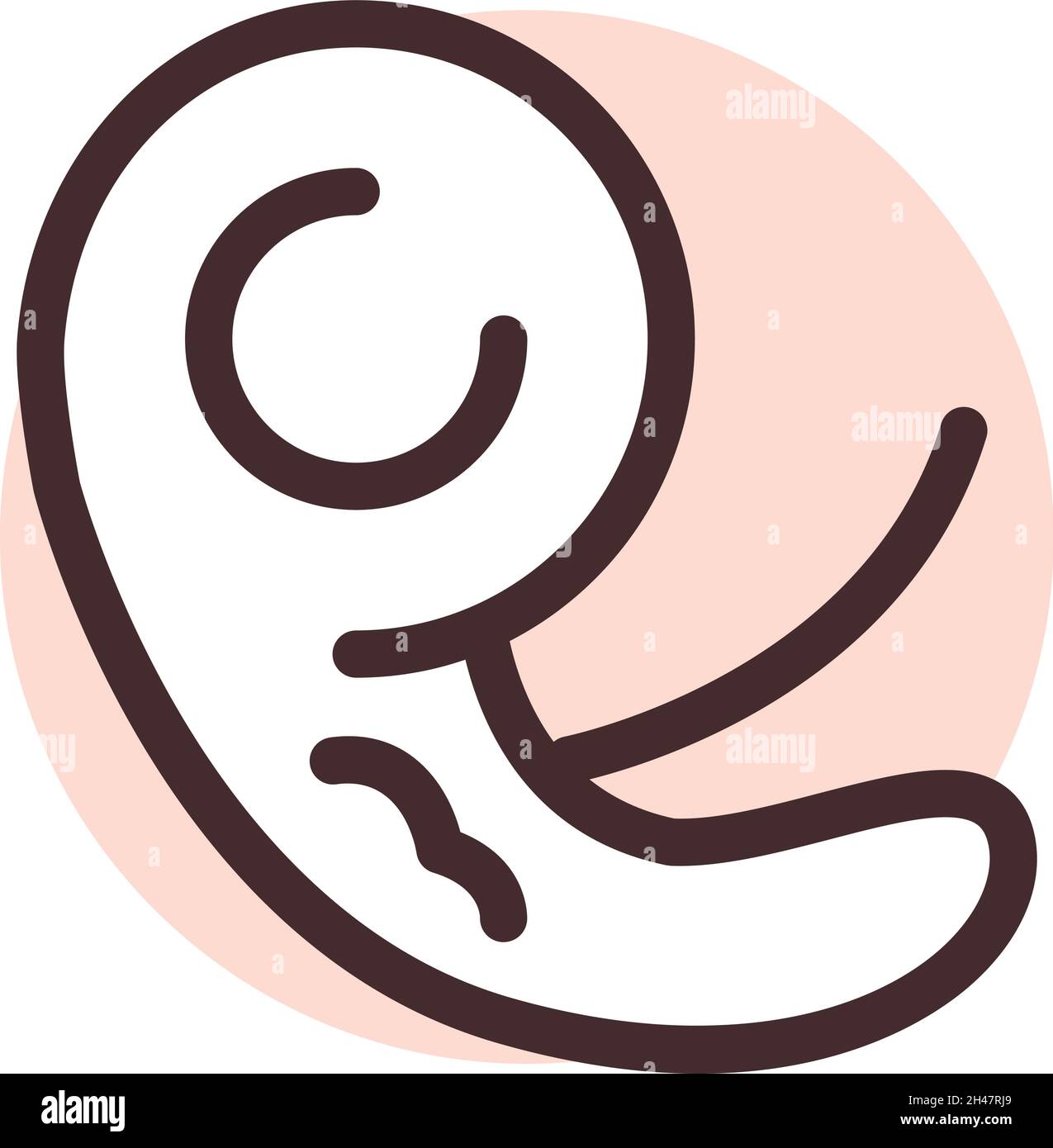 Human embryo, illustration, vector, on a white background Stock Vector ...