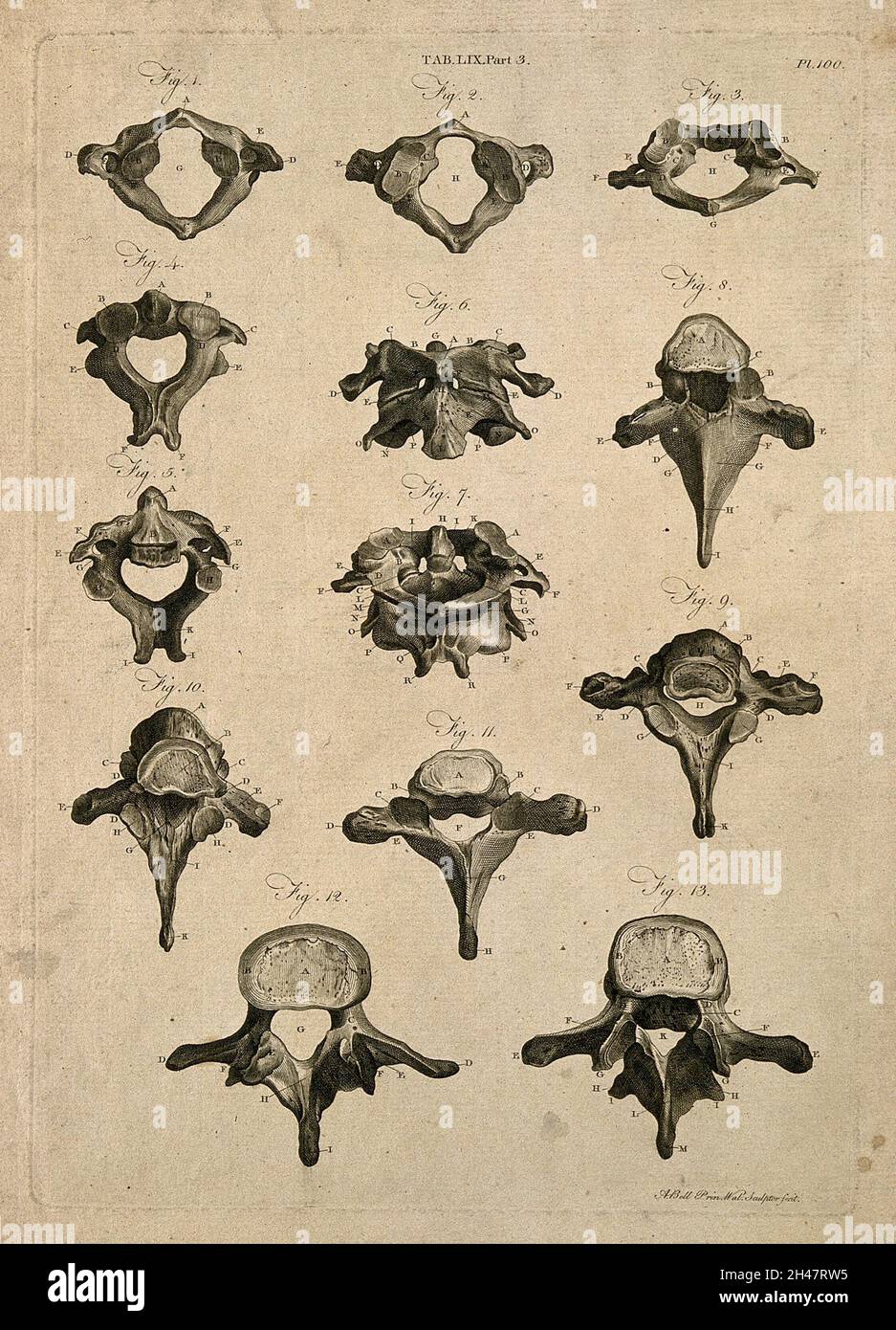 Bell line hi-res stock photography and images - Alamy