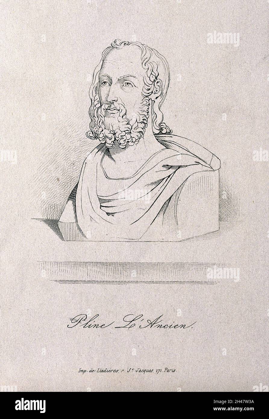 Caius Plinius Secundus. Line engraving Stock Photo - Alamy