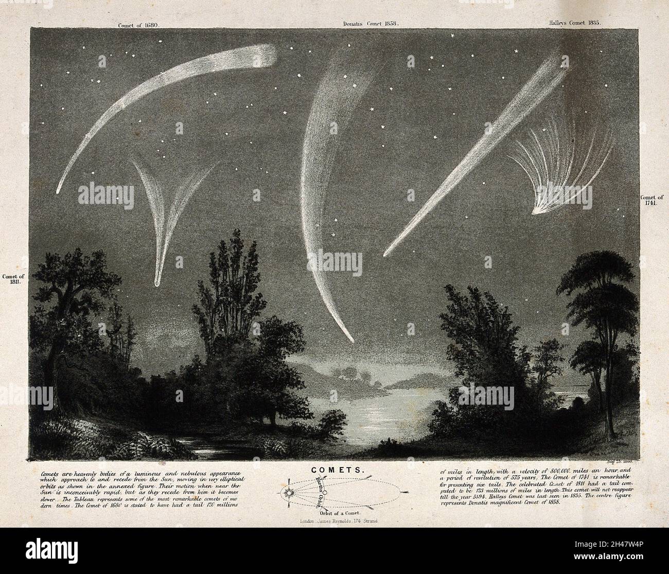 Astronomy: comets in a night sky. Engraving Stock Photo - Alamy