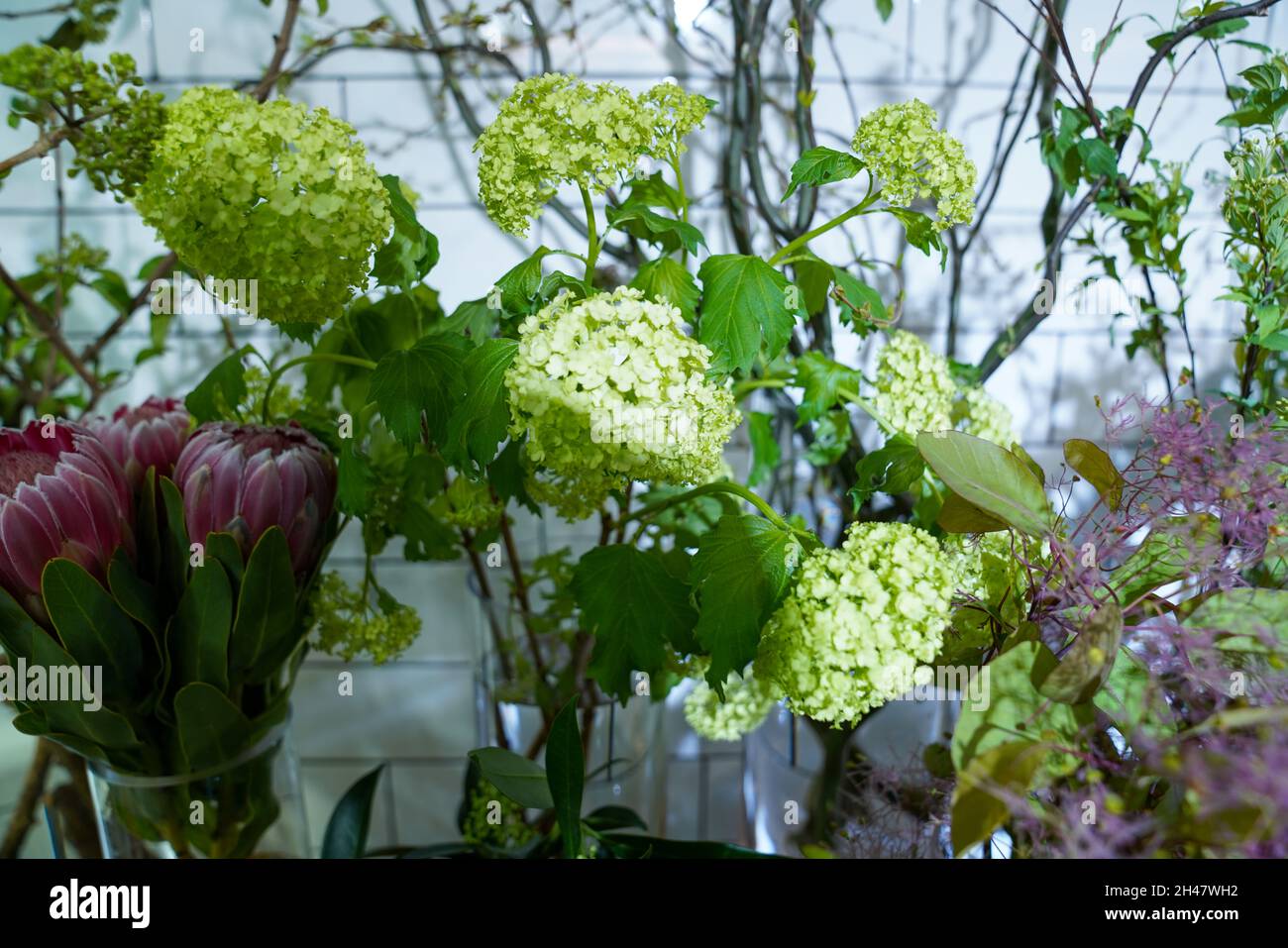 Creative layout of flowers and leaves. The concept of nature. A card ...