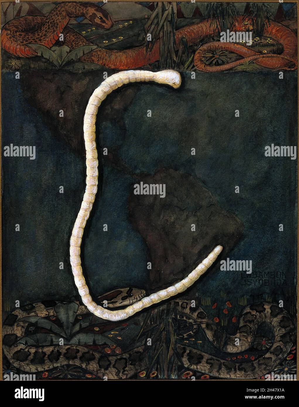 Parasites: a parasitical worm, shown much enlarged, with its hosts ...