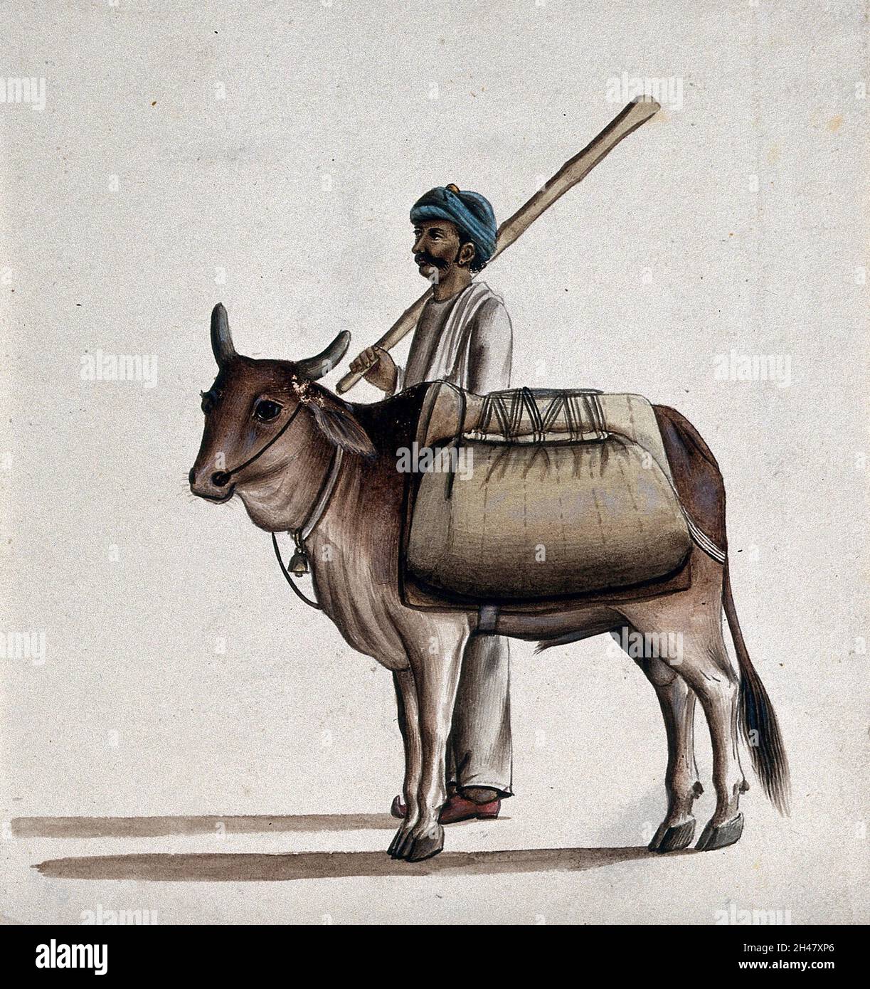 A man holding a stick, standing beside an ox carrying a load. Gouache ...