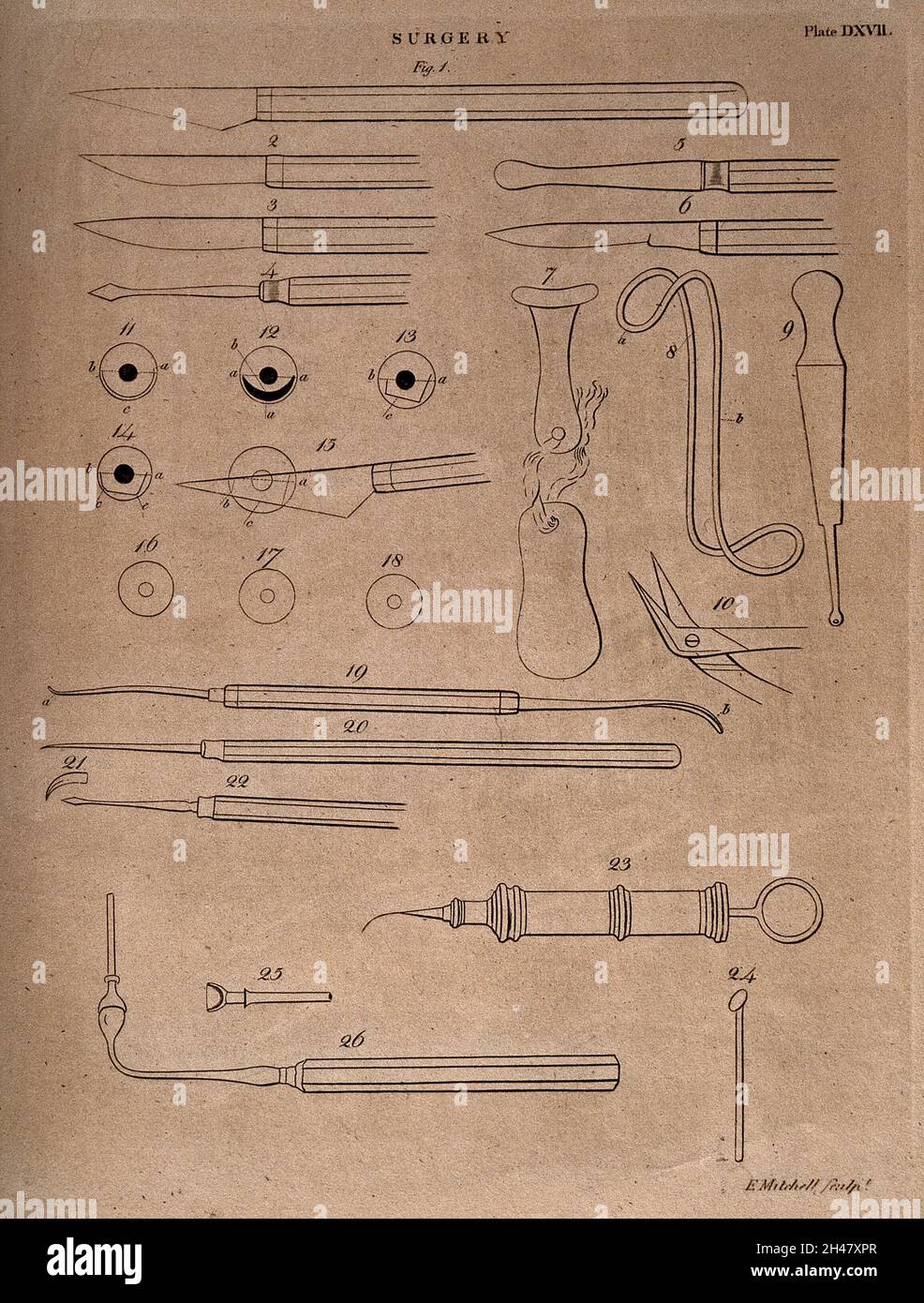 Surgical instruments including scalpels. Engraving by E. Mitchell Stock ...