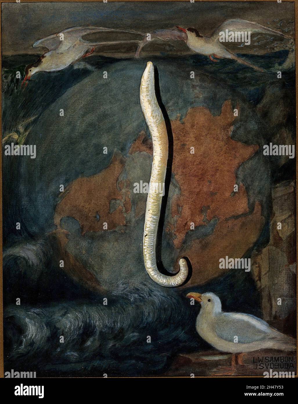 Parasites: a parasitical worm, shown much enlarged, with its hosts ...