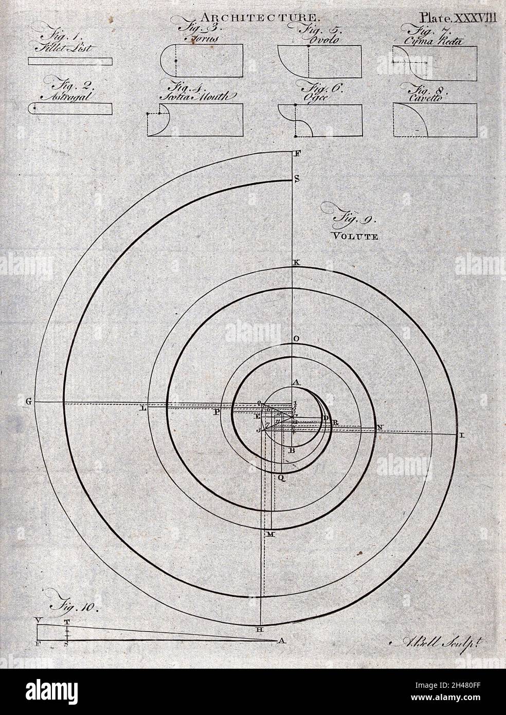 Architecture: an ionic volute and various types of moulding. Engraving ...