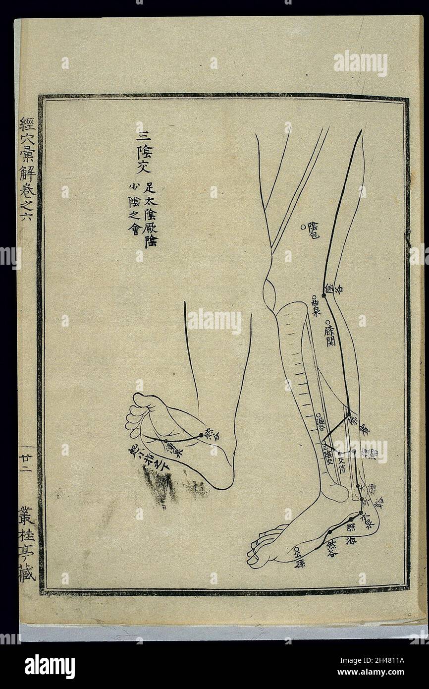Acu-moxa chart: Kidney channel of foot shaoyin in the legs Stock Photo ...