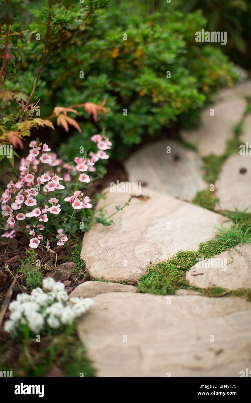 Stone Paving in Cottage Garden Stock Photo - Alamy