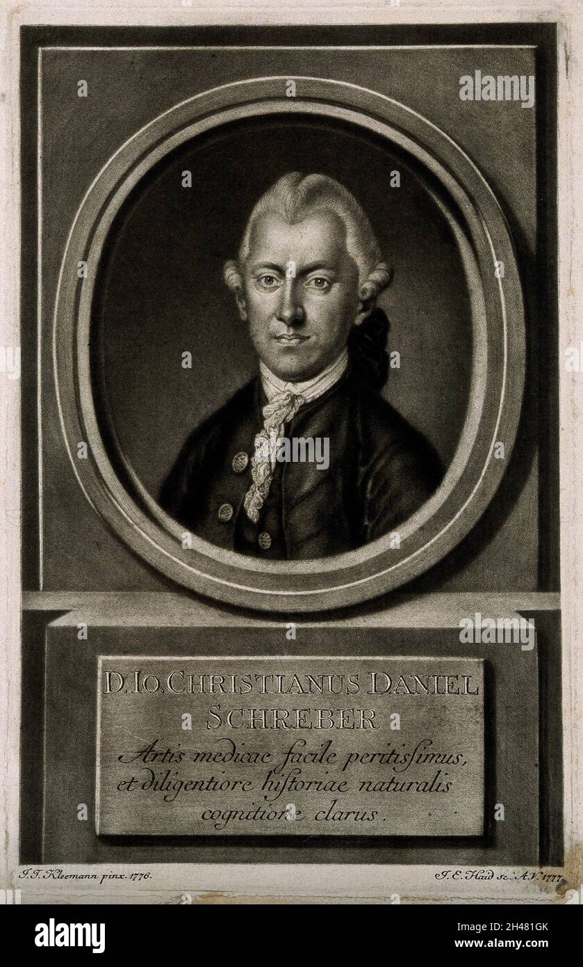 Johan von schreber hi-res stock photography and images - Alamy