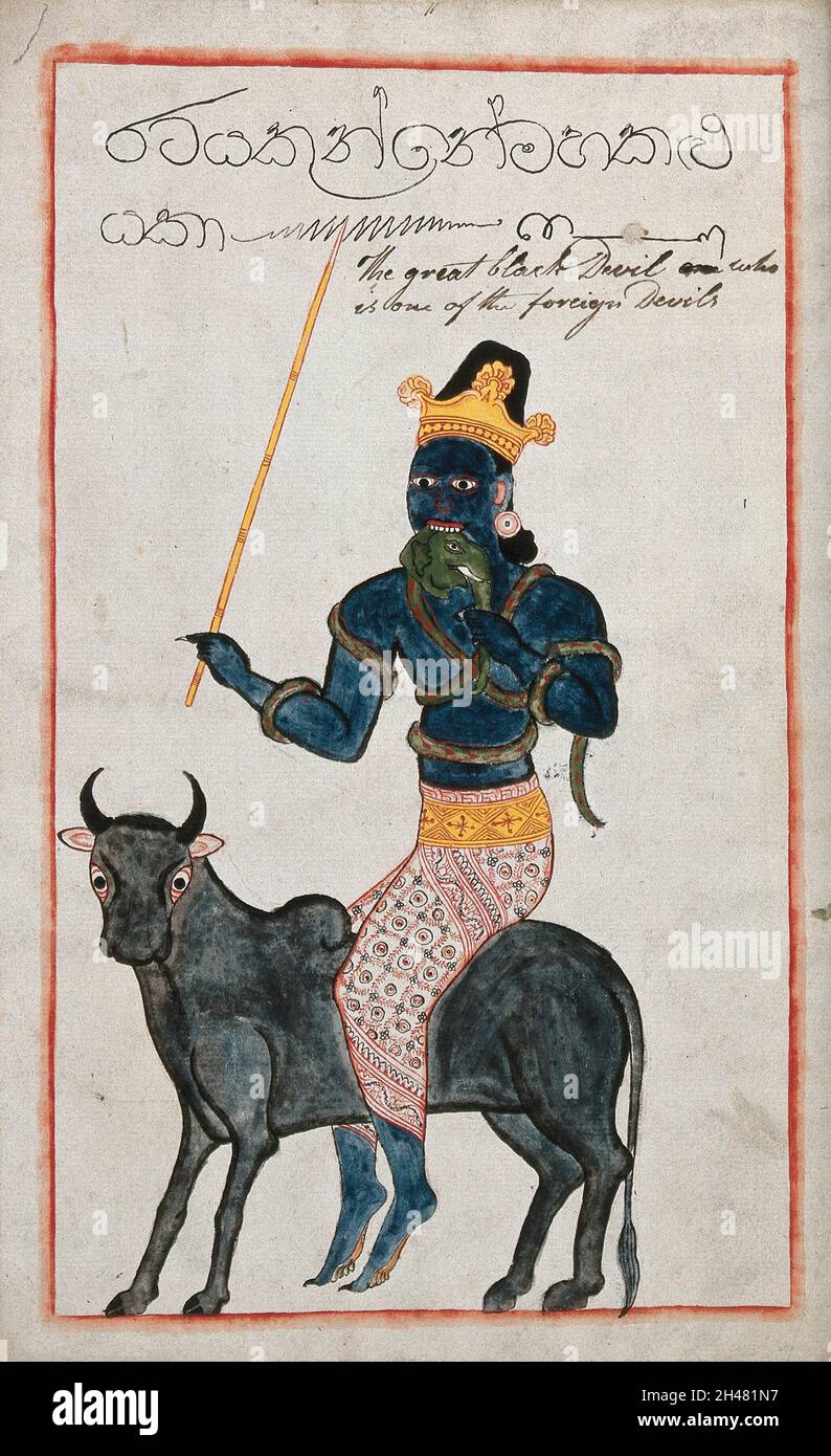 A Sinhalese great black devil sitting on a black cow or ox, eating an ...