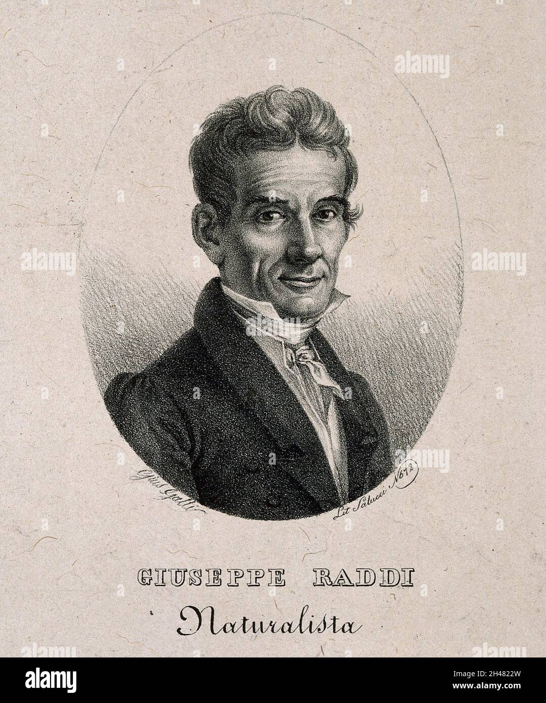 Raddi hi-res stock photography and images - Alamy