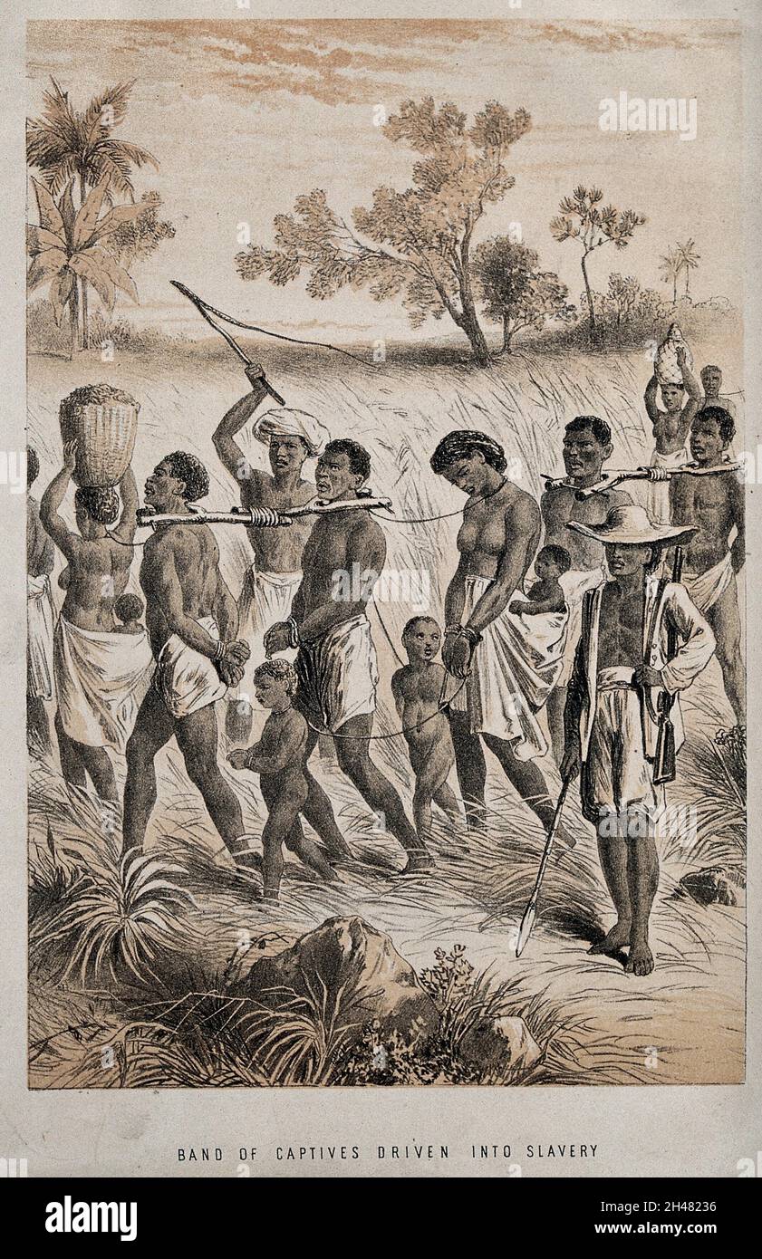 African Slaves Being Captured