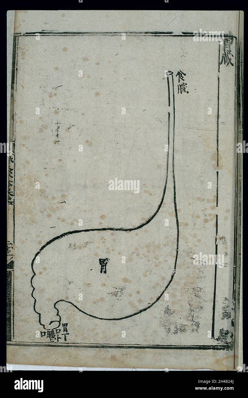 Anatomy of the stomach in ancient Chinese medicine, woodcut Stock Photo ...