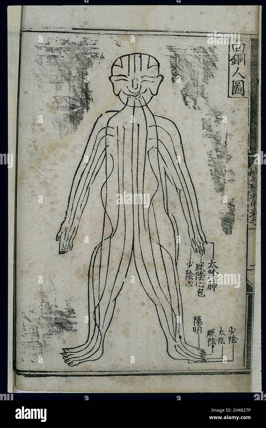 Bronze Man acupuncture figurine, front view, Chinese woodcut Stock ...