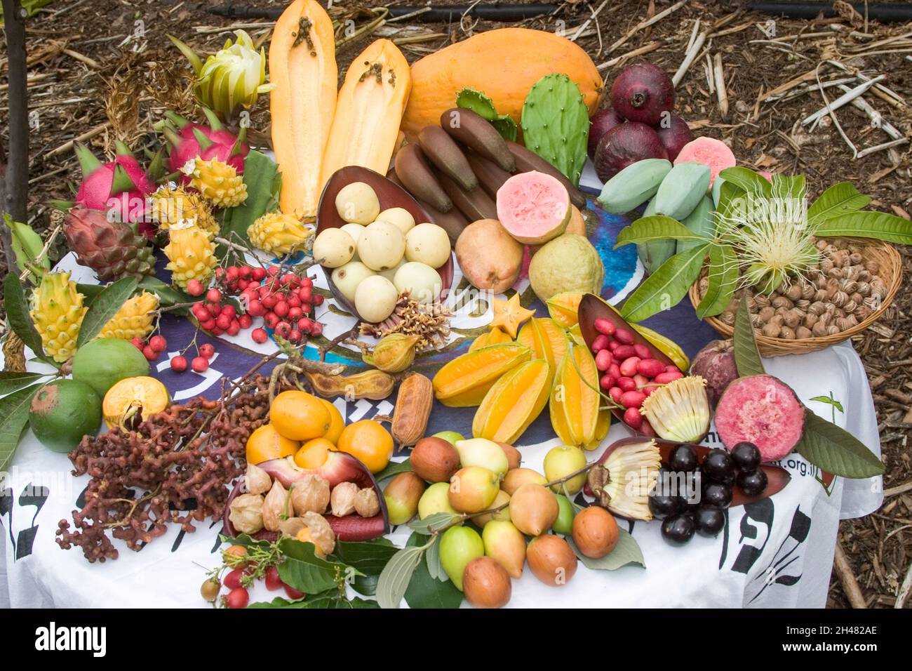 A selection of edible tropical fruit Stock Photo - Alamy