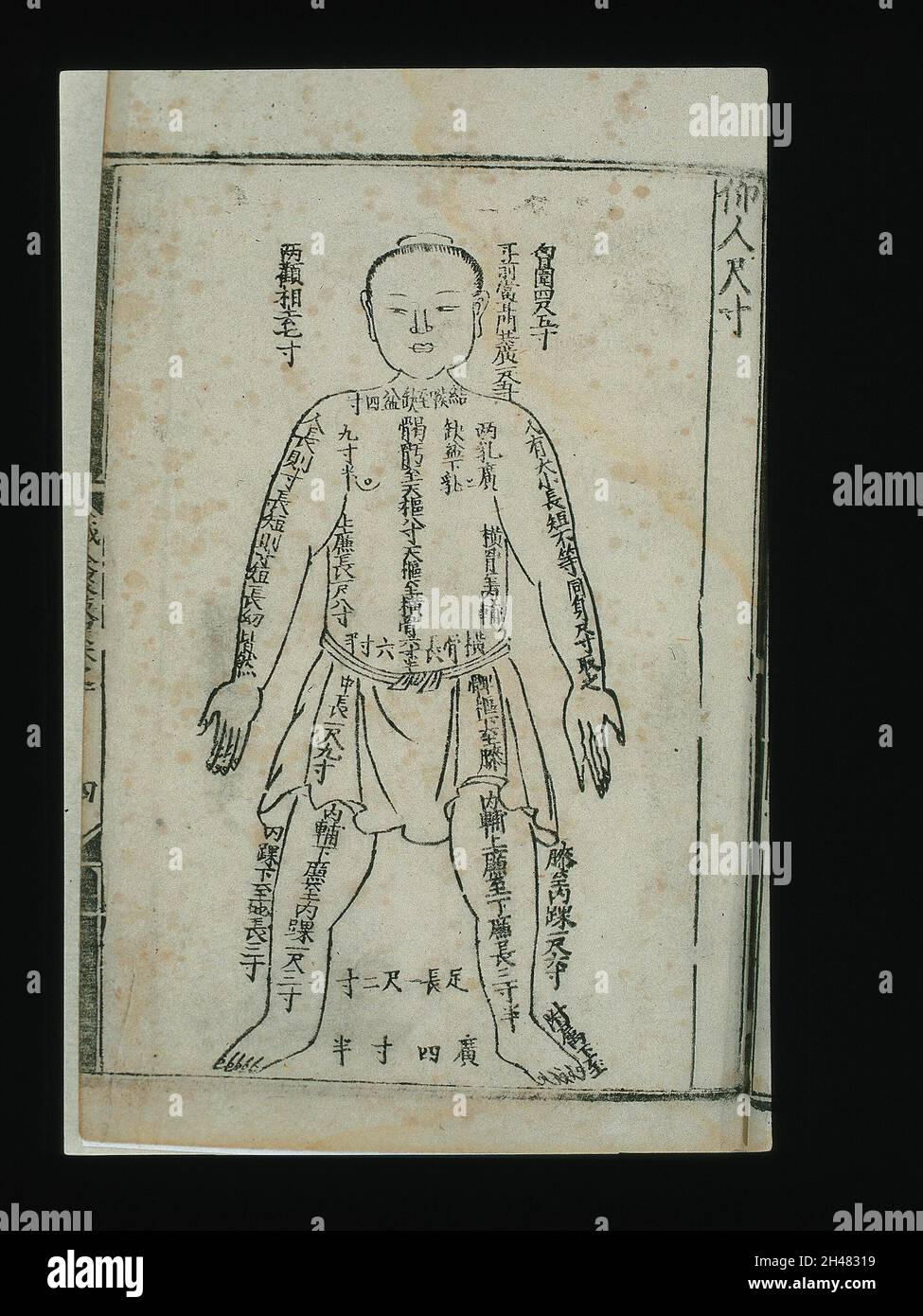 Anatomical measurements, supine figure, Chinese woodcut Stock Photo - Alamy