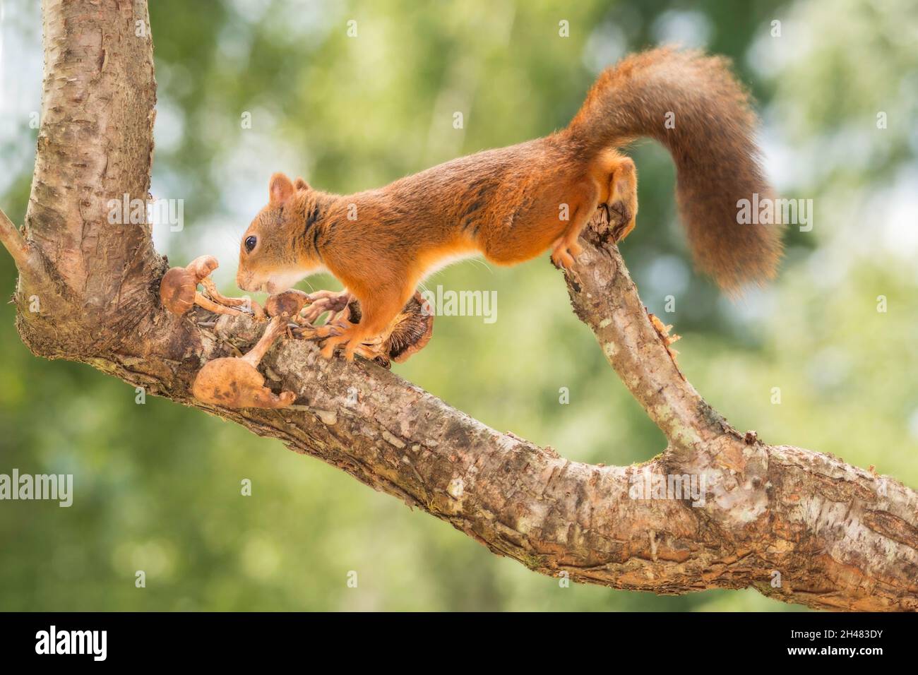 Partly moving hi-res stock photography and images - Alamy