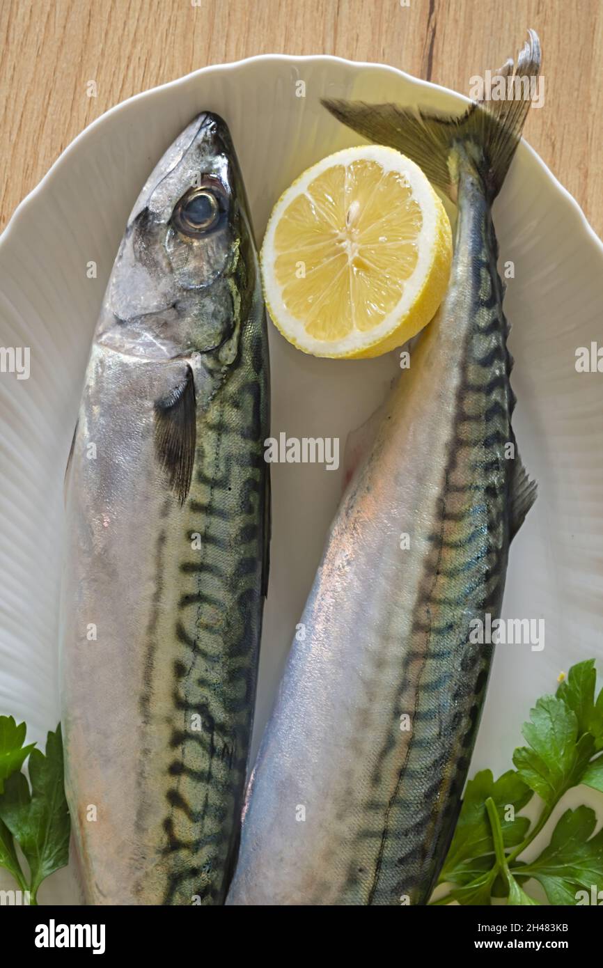 Limone di mare hi-res stock photography and images - Alamy