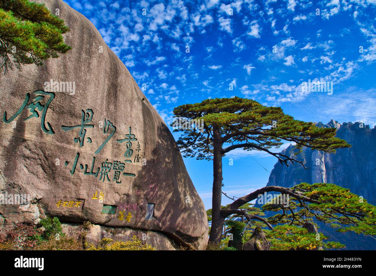 The welcoming pine at the entrance of Huangshan National Park ...