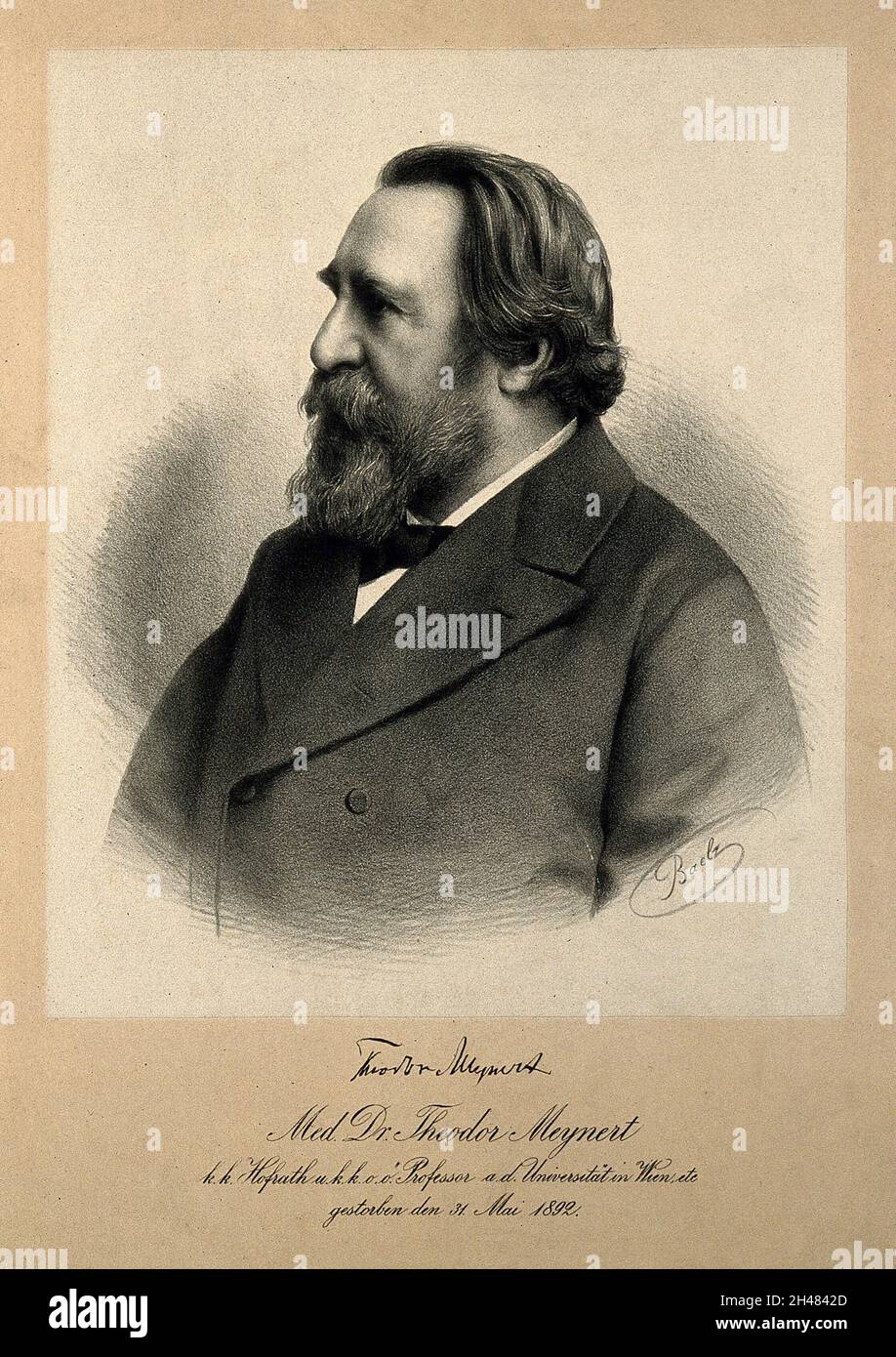 Theodor Hermann Meynert. Lithograph by Baelz Stock Photo - Alamy