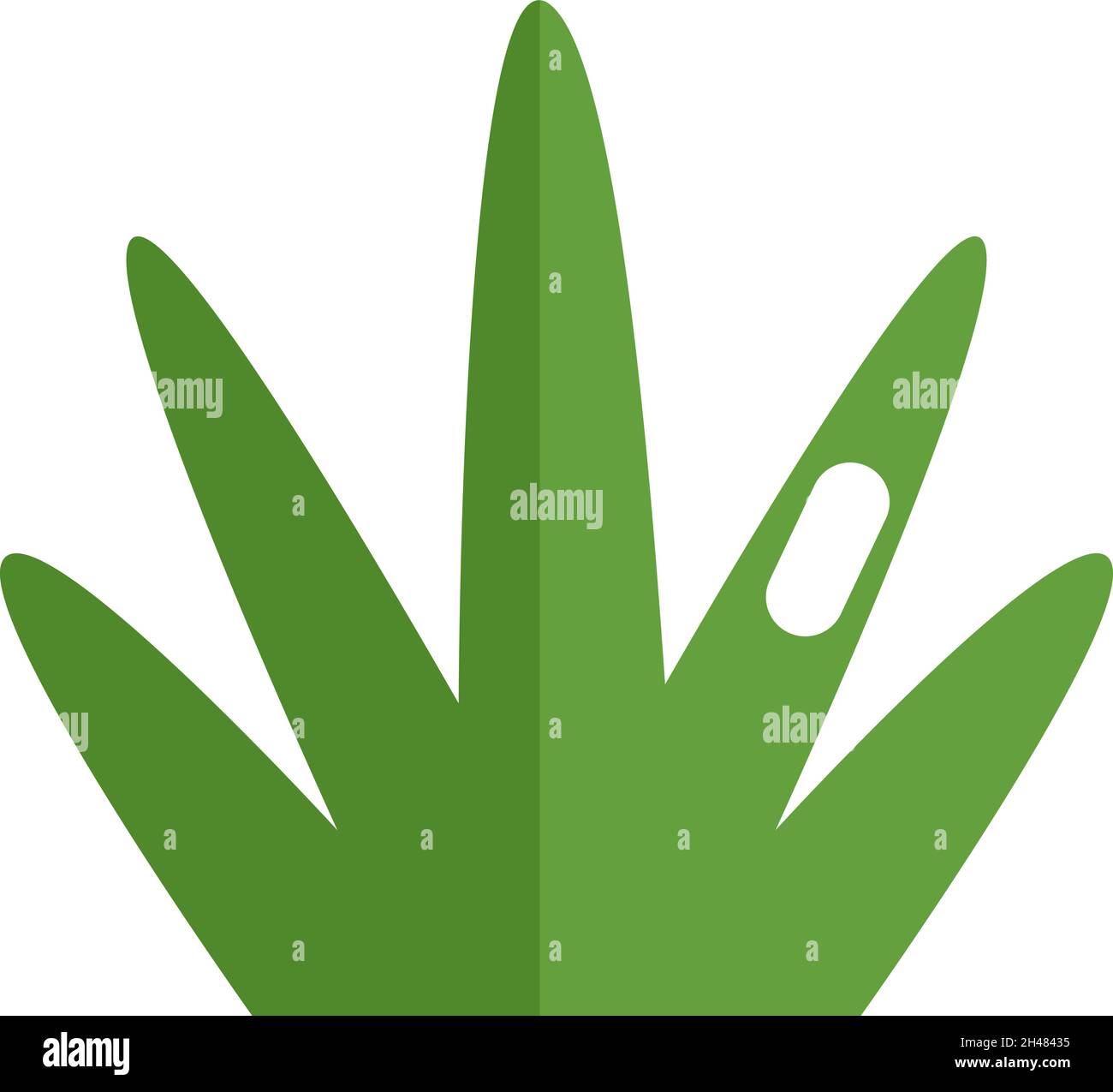 Spring grass, illustration, vector, on a white background Stock Vector ...