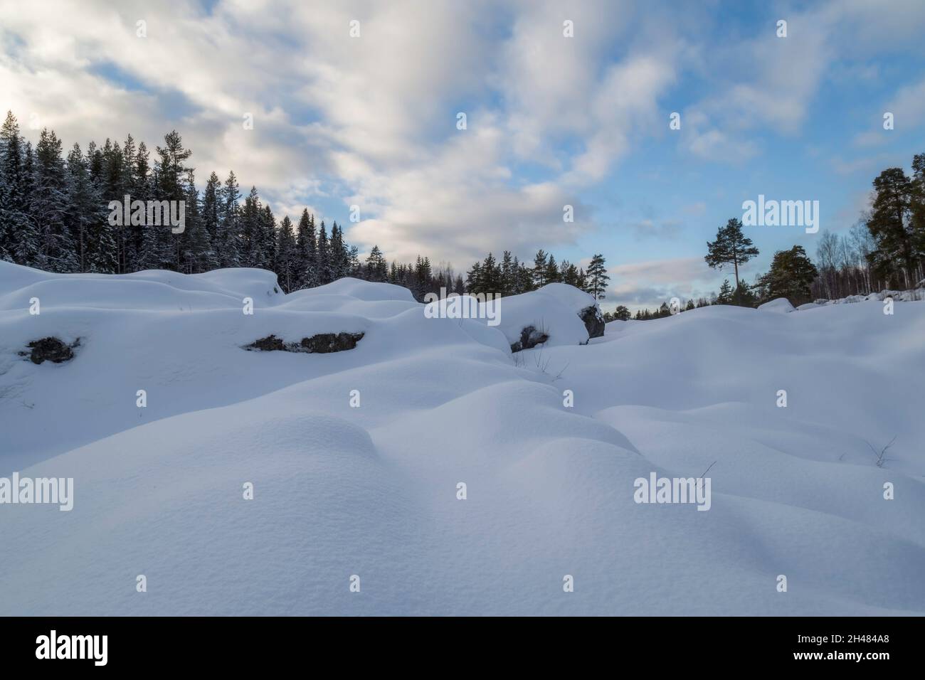 snow landscape with blue sky and trees Stock Photo - Alamy