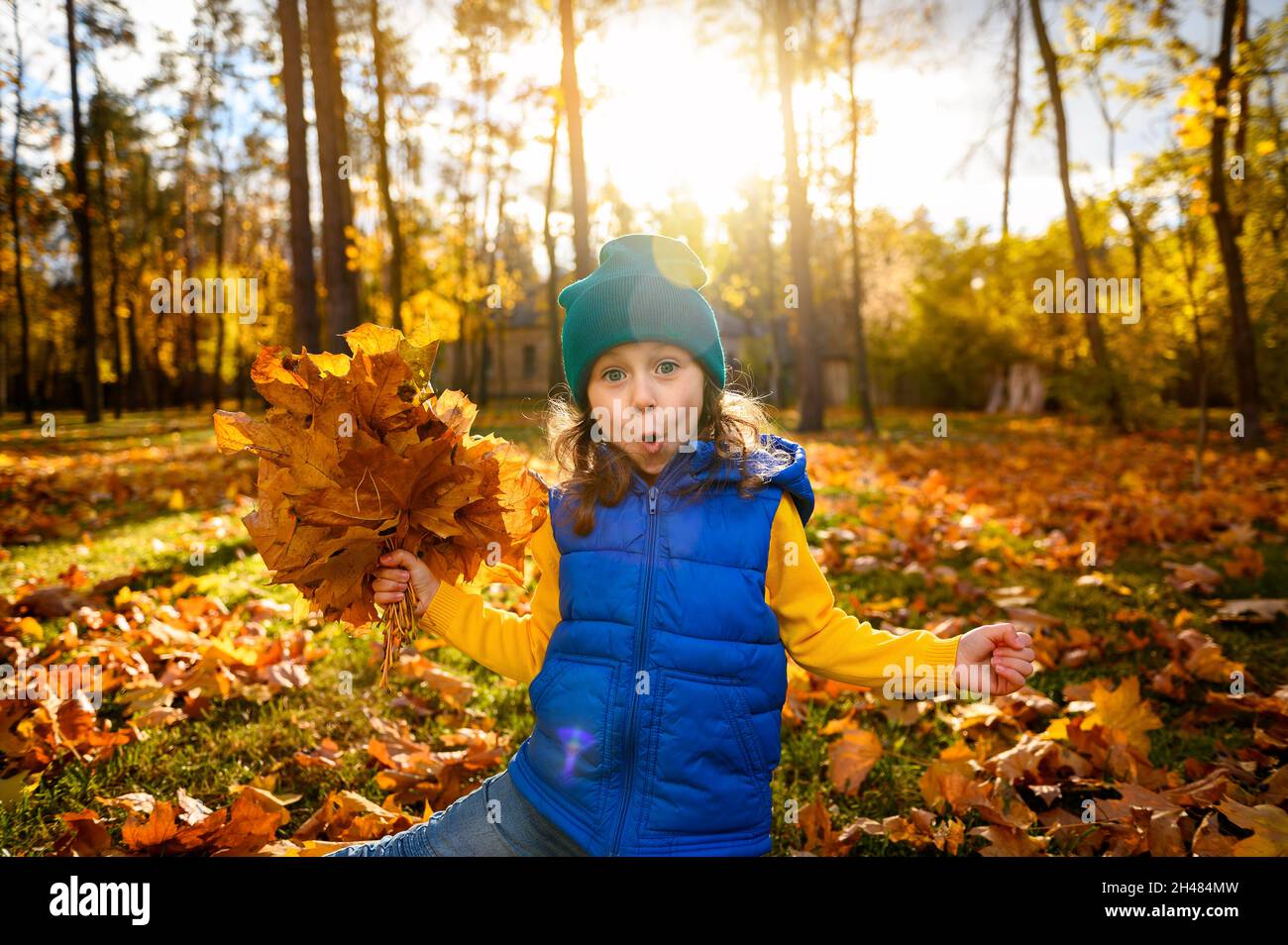 Collecting leaves children in park hi-res stock photography and images ...