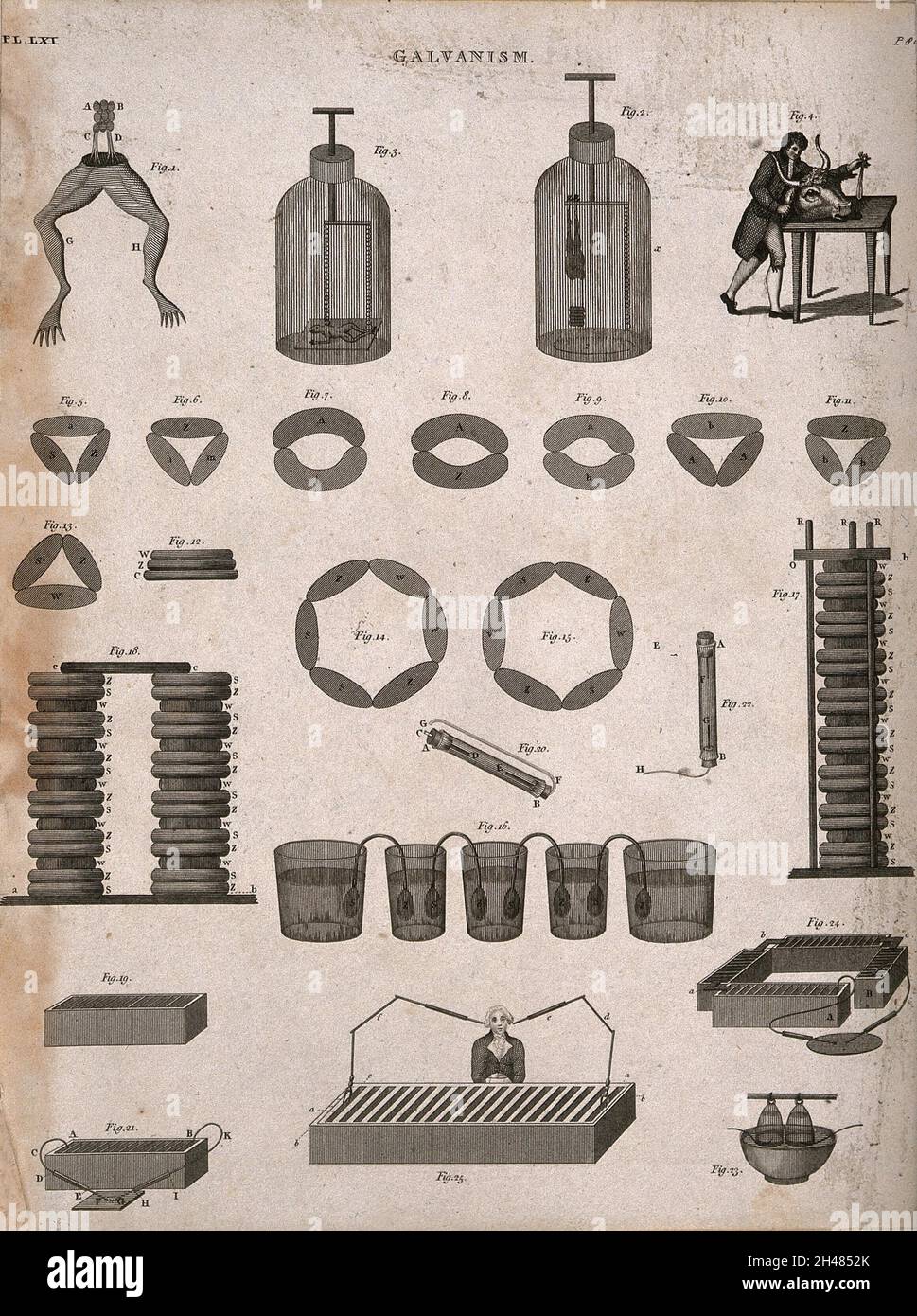 Galvanism: 25 figures illustrating experiments and instruments ...