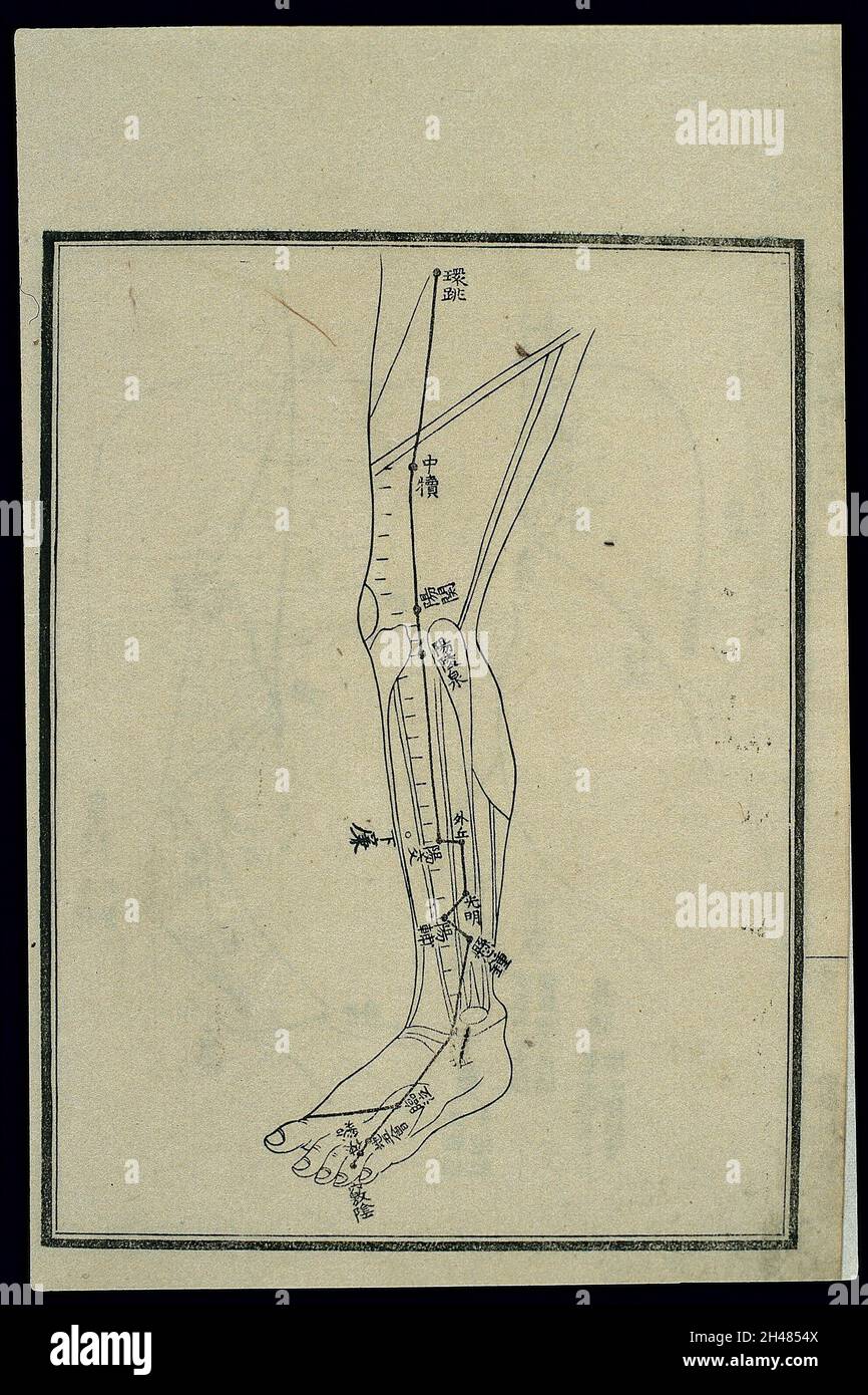 Acu-moxa chart: Liver channel in the lower limbs, Japanese Stock Photo ...