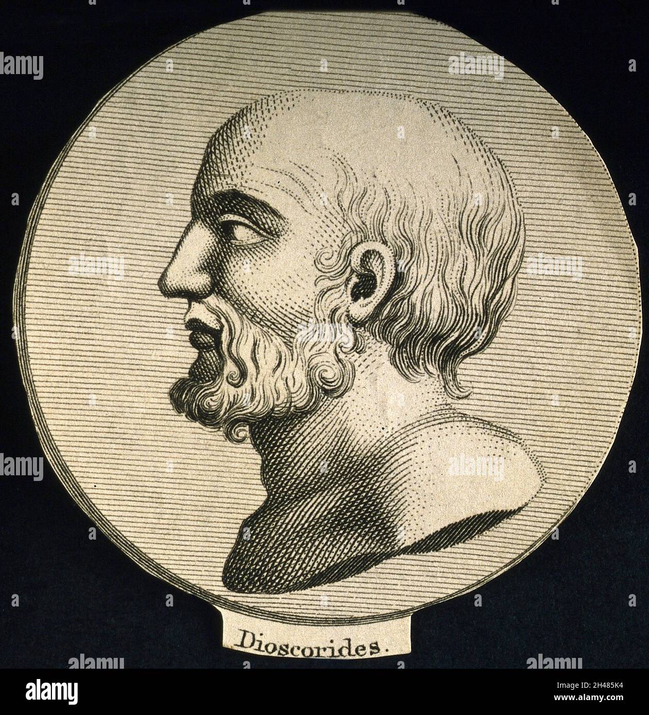 Pedanios Dioscorides. Line engraving Stock Photo - Alamy