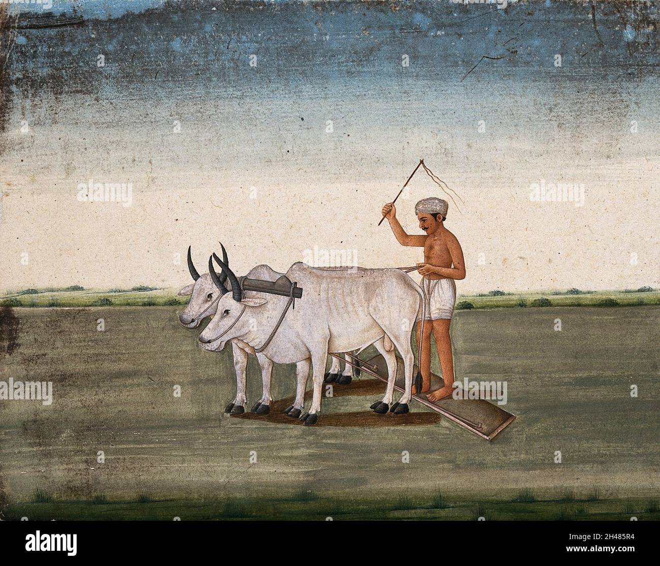 Plough the land hi-res stock photography and images - Alamy