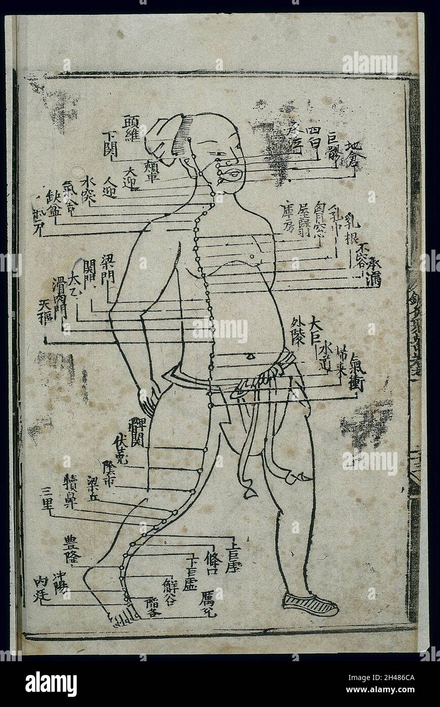 Acupuncture chart, stomach channel of foot yangming, Chinese Stock ...