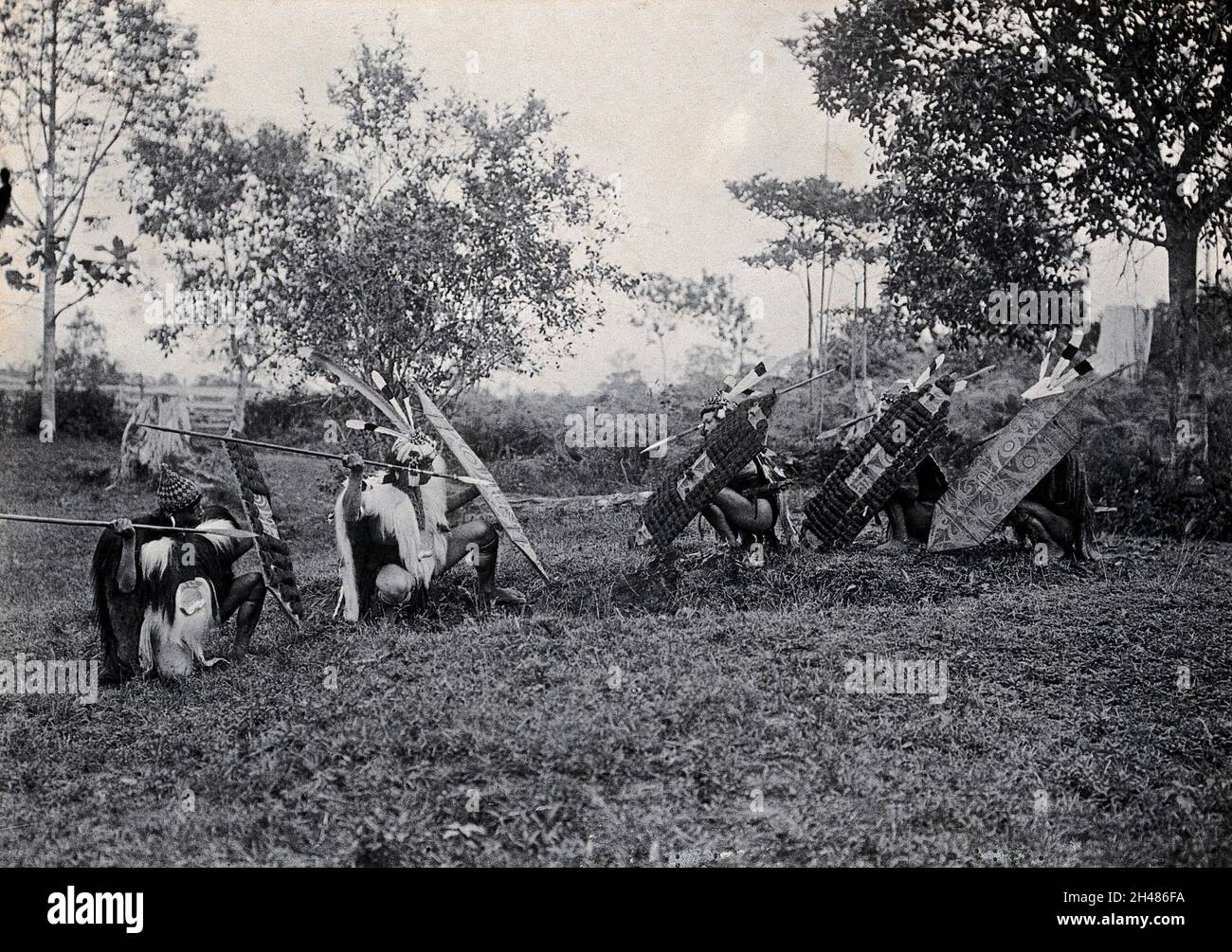 Sarawak: five native Kenyah warriors in a warfare ritual. Photograph ...