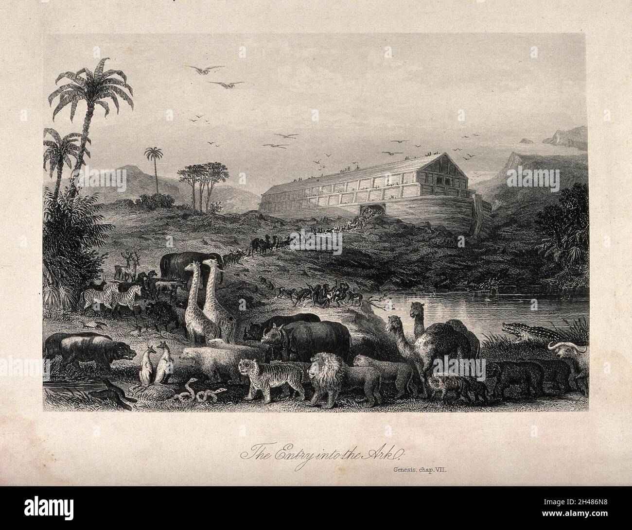 Animals entering noahs ark hi-res stock photography and images - Alamy