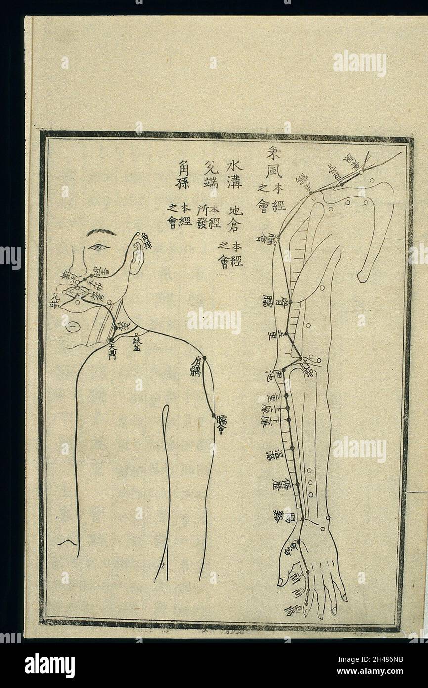 Acu-moxa chart: large intestine channel of hand yangming Stock Photo ...