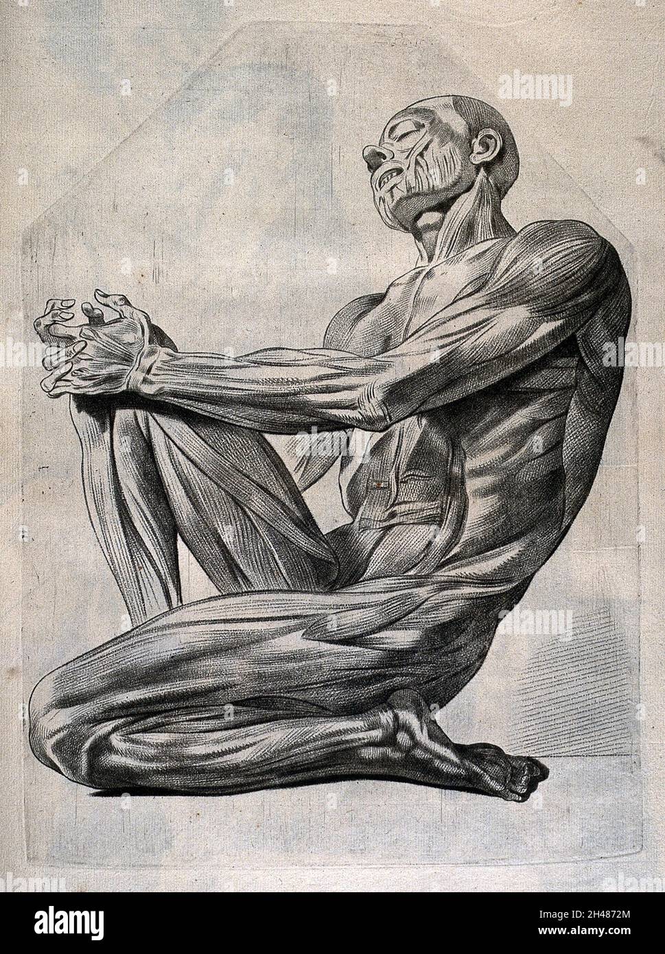 Kneeling ecorche hi-res stock photography and images - Alamy