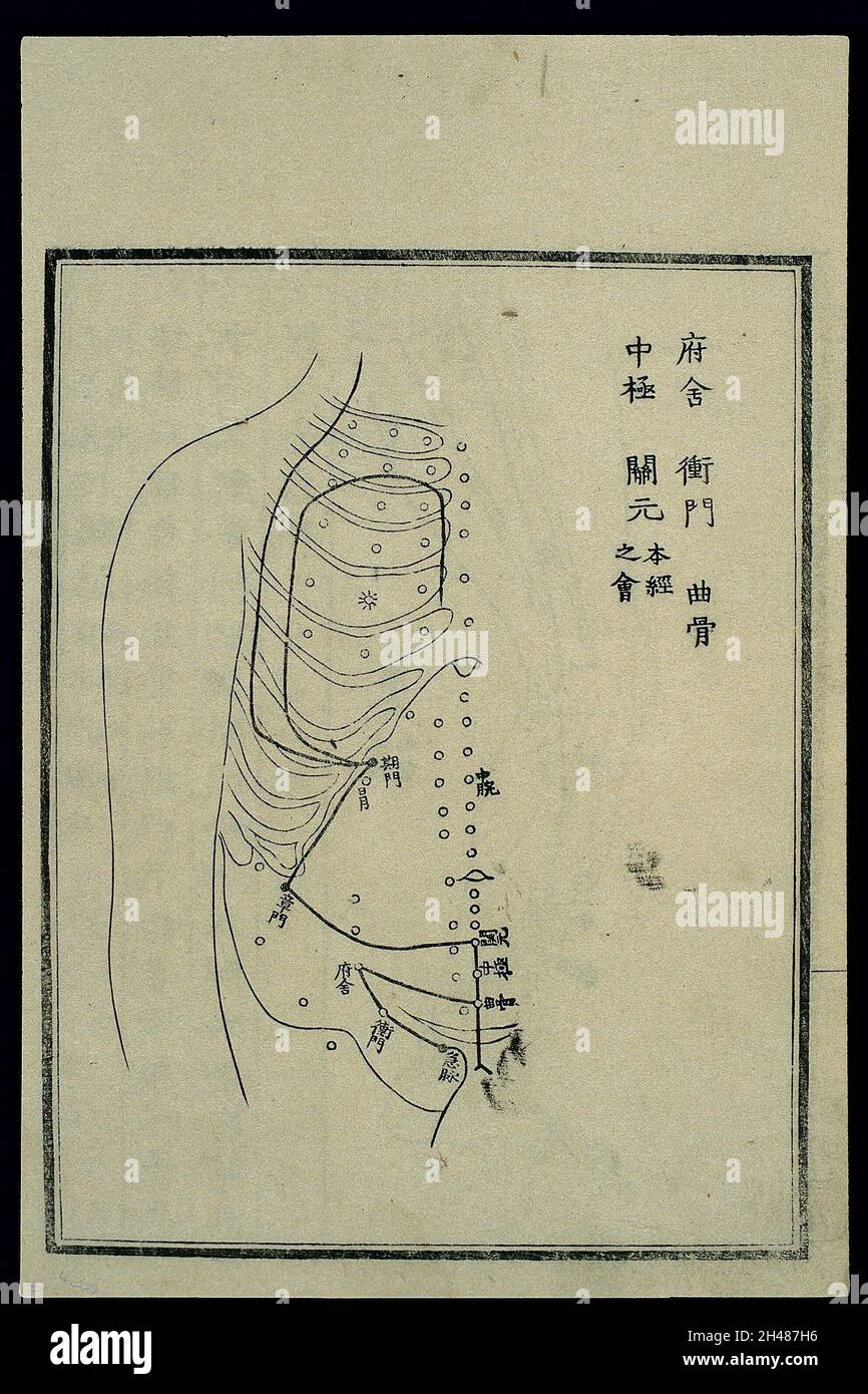 Acu-moxa chart: Liver channel in the thorax and abdomen Stock Photo - Alamy