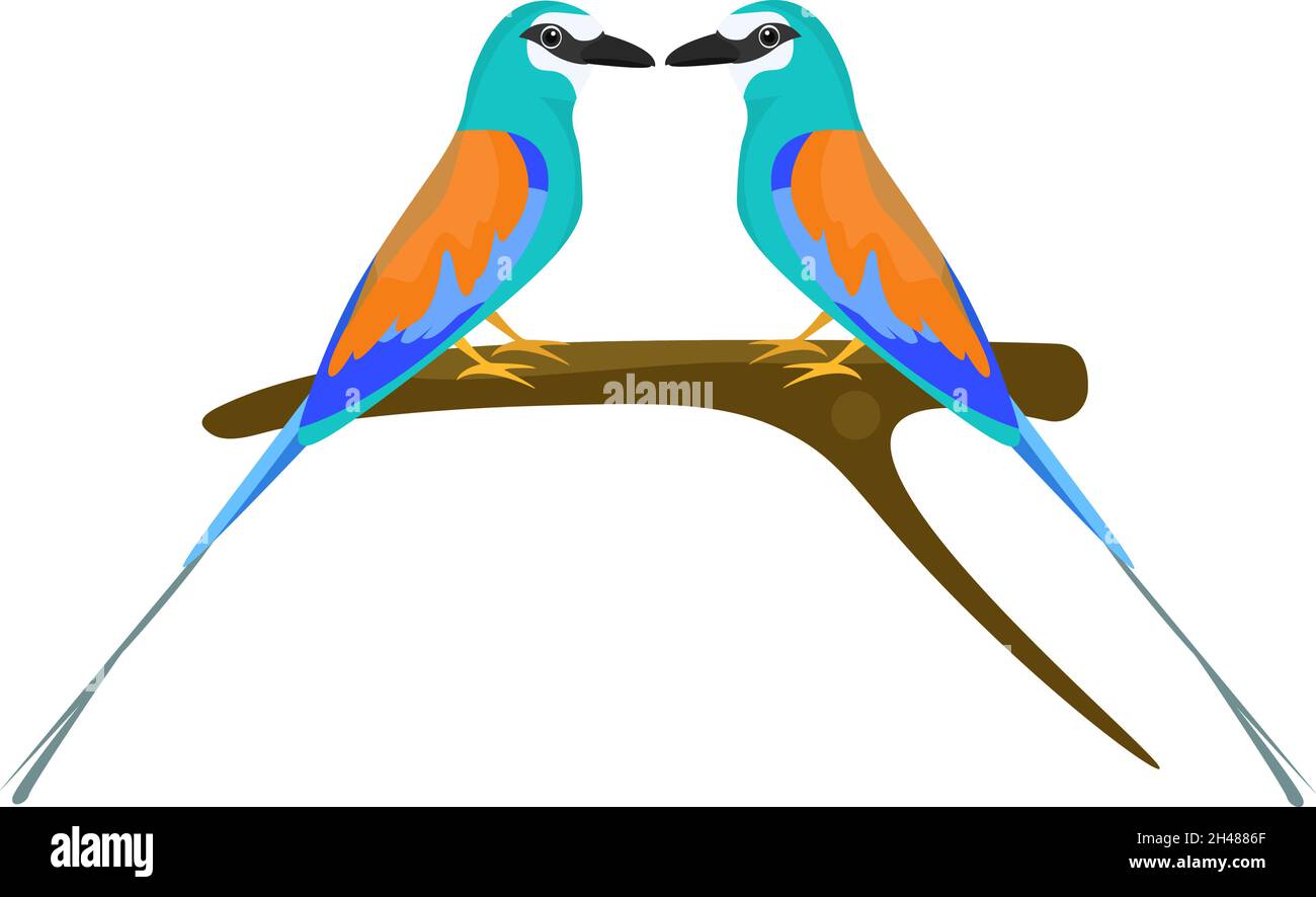 Abyssinian roller bird, illustration, vector on a white background ...
